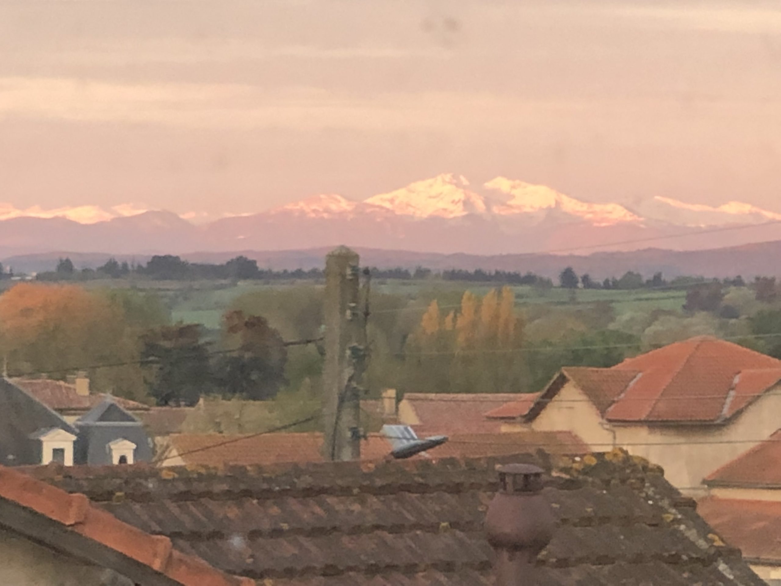 Carcassonne April 2019 • Our Home in Carcassonne